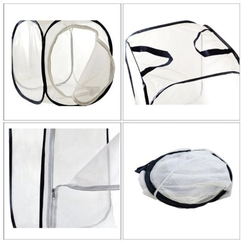 Pop-Up Mesh Insect Enclosure - Best Toy Store!